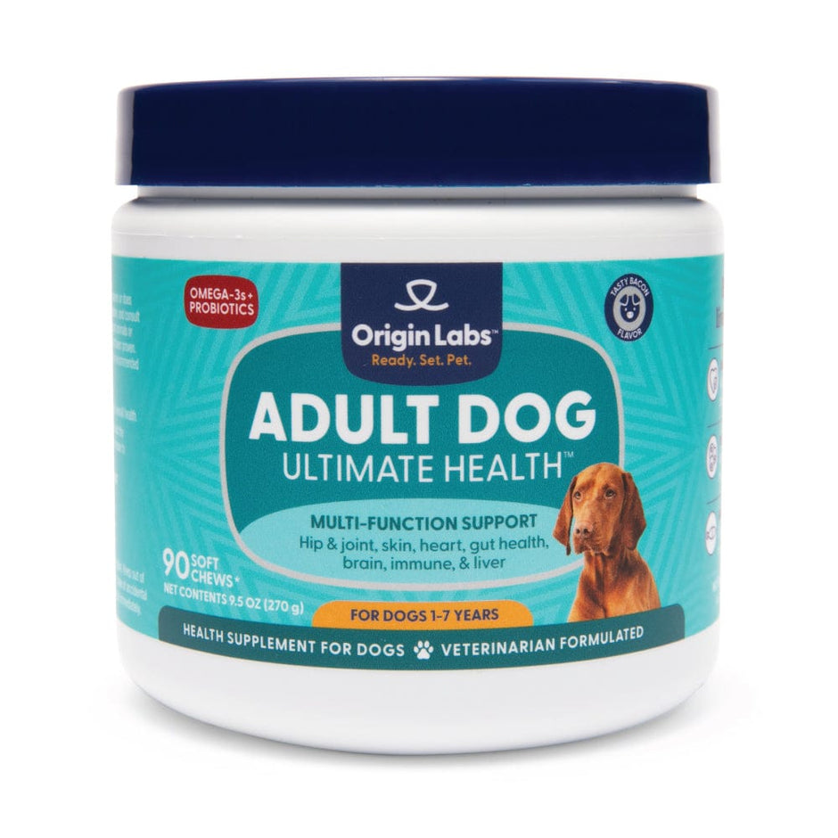 Natural Health Supplements for Dogs