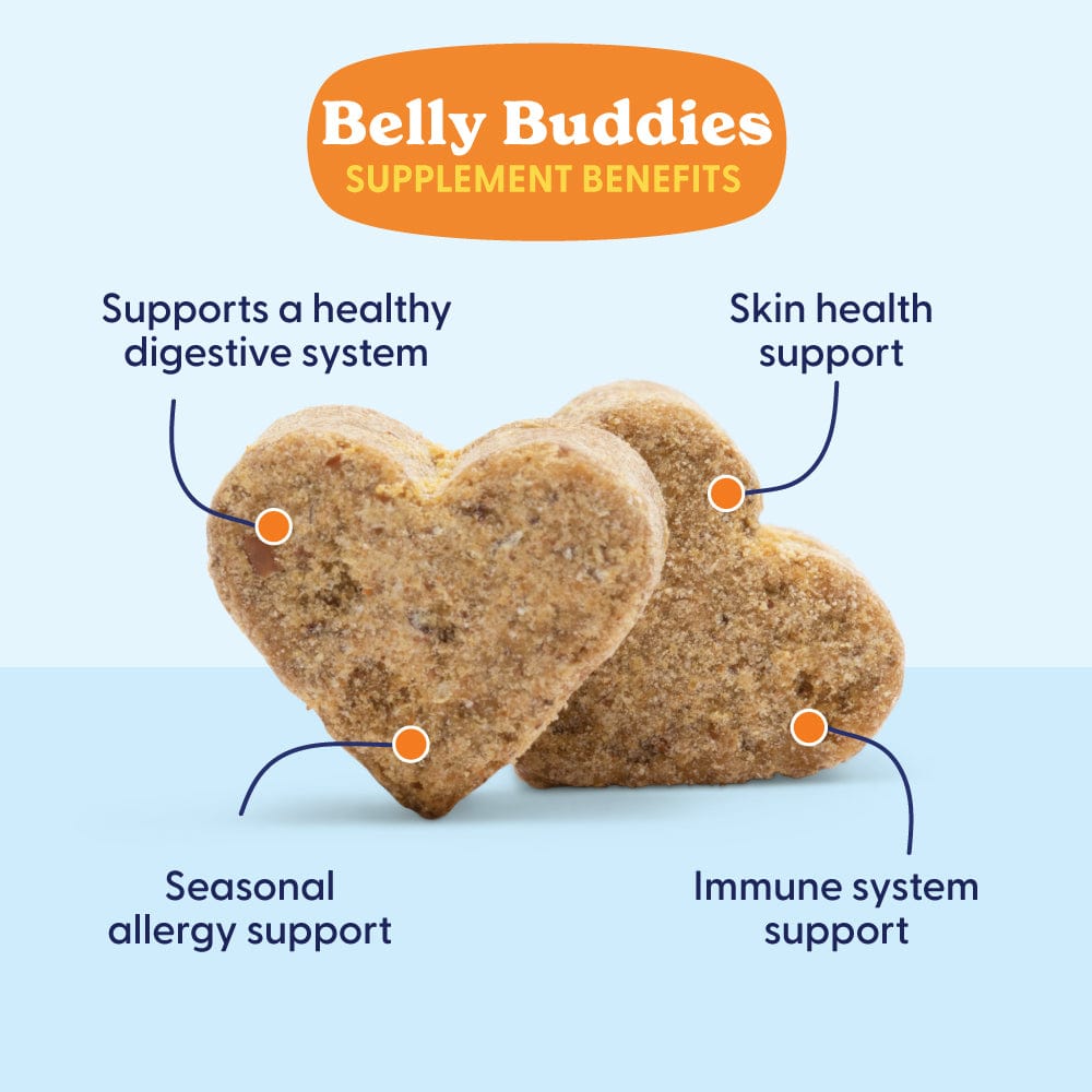 5 Reasons To Choose Belly Buddies Over Petlab Co
