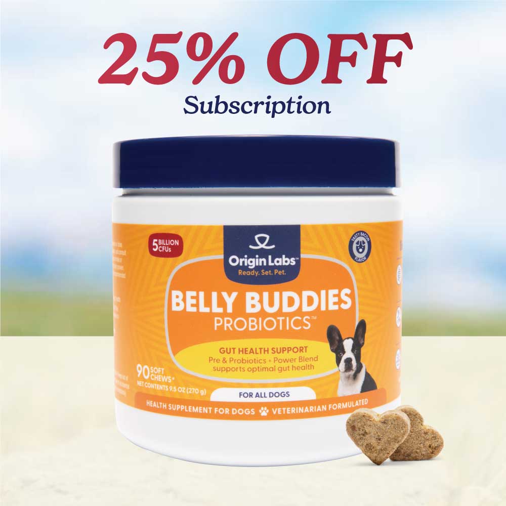 Probiotics for Dogs, Belly Buddies Dog Probiotics