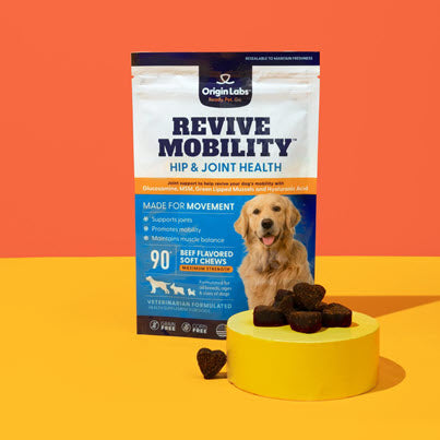 Natural Health Supplements for Dogs